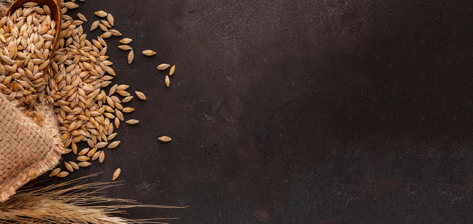 Rice Grain Quality Analysis Software RiceX rice-grain-quality-analysis-software-ricex